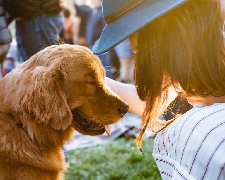 Why Positive Dog Training Is Better - Showit Blog