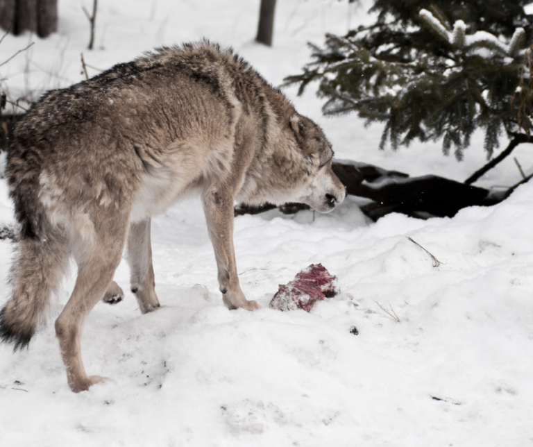 What is Resource Guarding and How Do You Prevent It? - Showit Blog