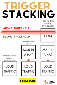 What is Dog Trigger Stacking & How Does it Affect Training? - Showit Blog