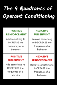 What Is Force Free Dog Training? - Showit Blog