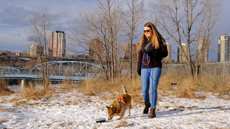 How to Train Your Dog to Leave It & STOP Scavenging on Walks - Showit Blog