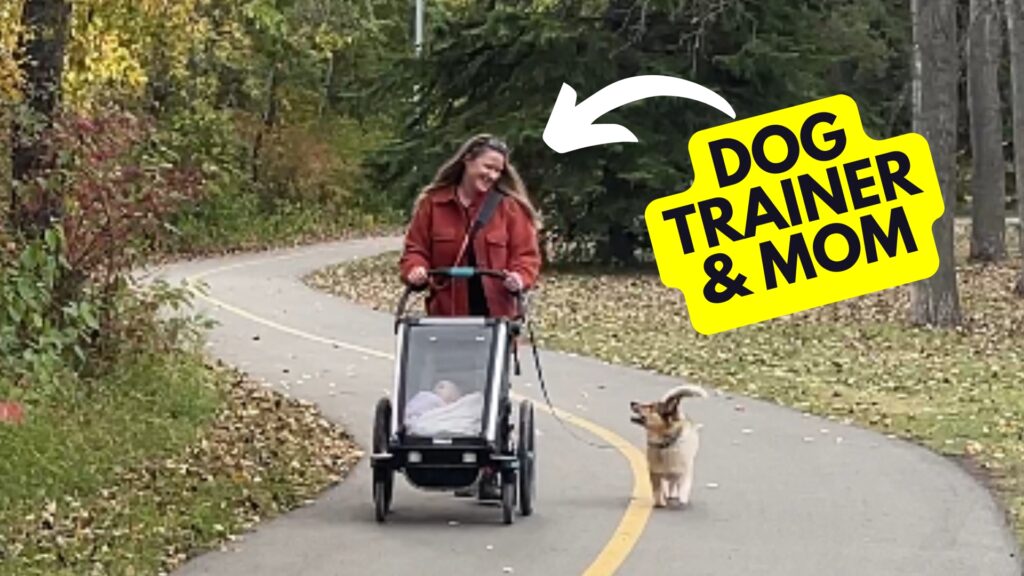 12 Tips for Stress-Free Walks With a Dog and Baby - Showit Blog
